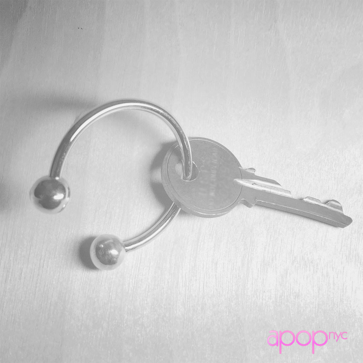 Sterling Silver Horseshoe KeyChain Ring Screwball – apop ...